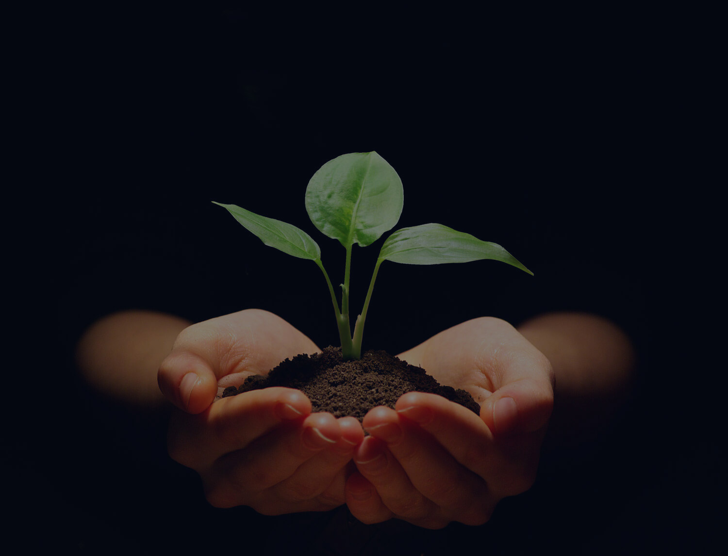 Home - Exchange Ministries